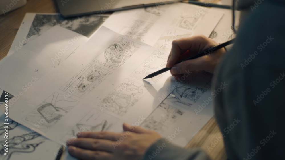 Animator creates sketches for the cartoon. Works on the storyboard ...