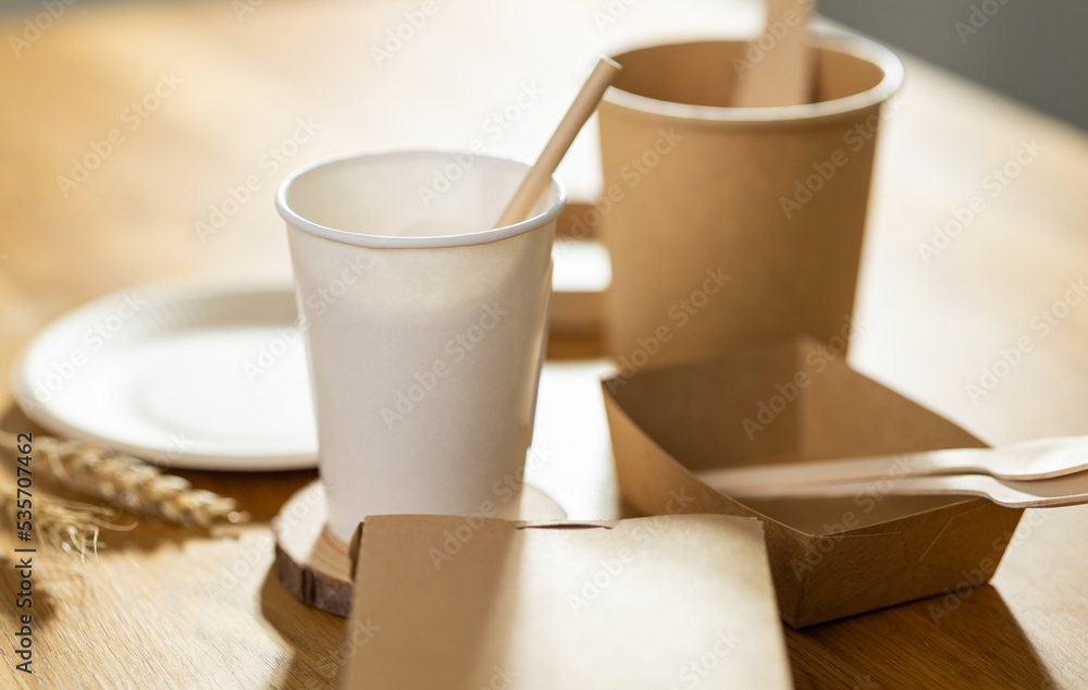 Eco friendly food packaging. Paper recycling zero waste natural ...