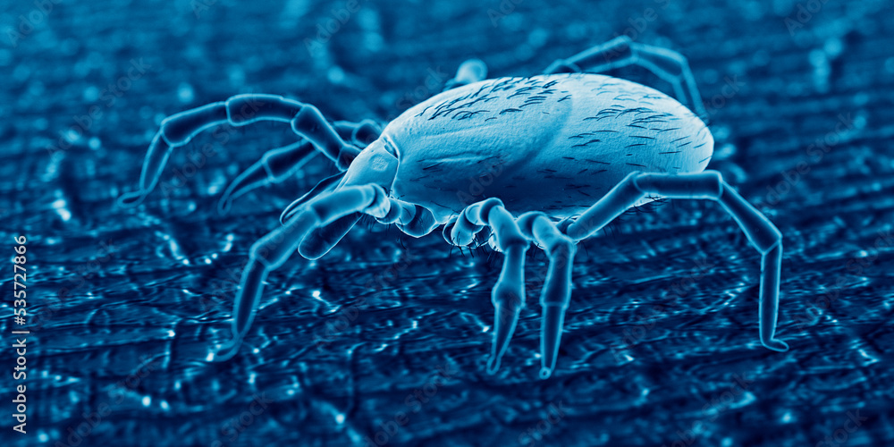 3d rendered illustration of a tick on human skin, sem style Stock ...