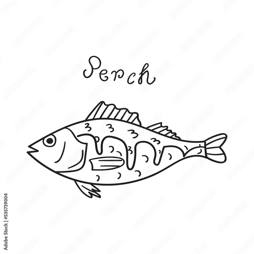 Perch. Icon. Fish. Vector hand drawn outline illustration. Stock Vector ...