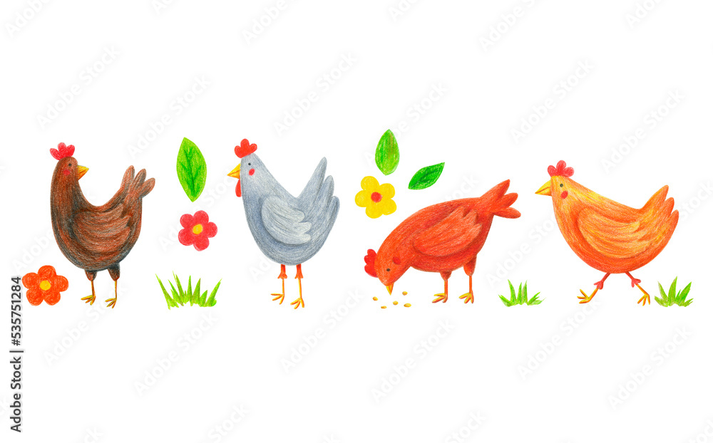 Chicken clip art set isolated on transparent background. Hand drawn ...