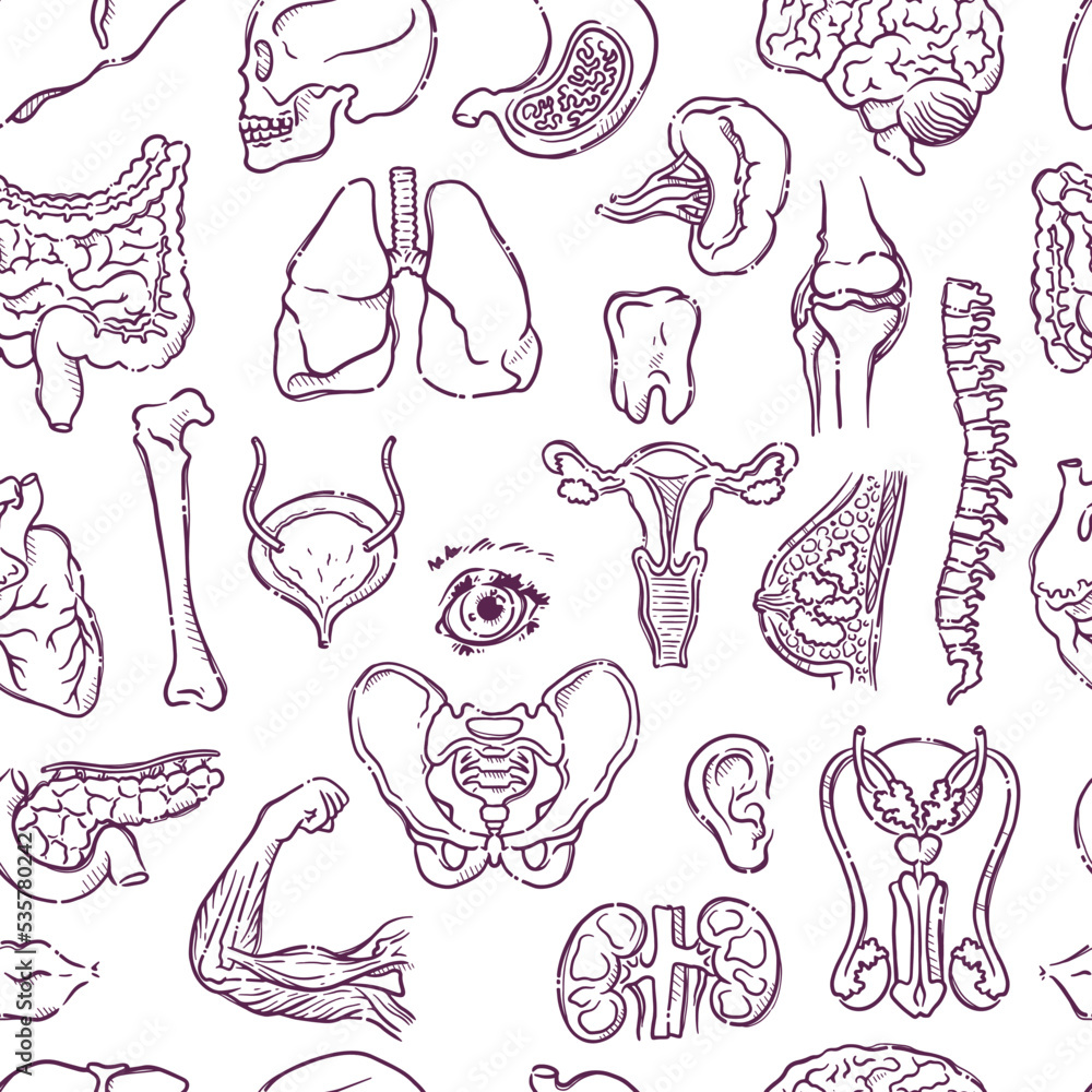 Humans and animals internal organs. Seamless pattern of body parts on a ...