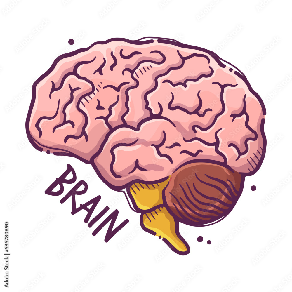 Brain. Humans and animals internal organs. Medical theme for posters ...