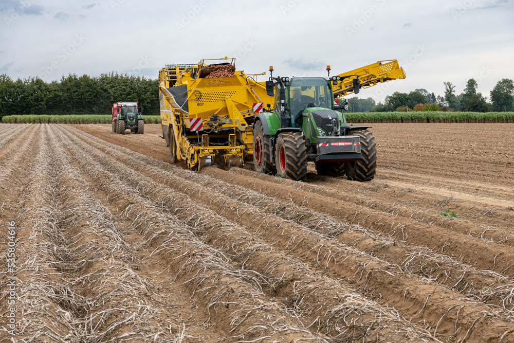 Récolte de pomme de terre en plaine. Ensemble tracteur Fendt 720 et ...