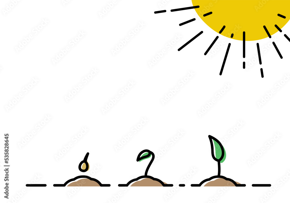 plant growth. Vector illustrations with phases plant growth. Outline ...