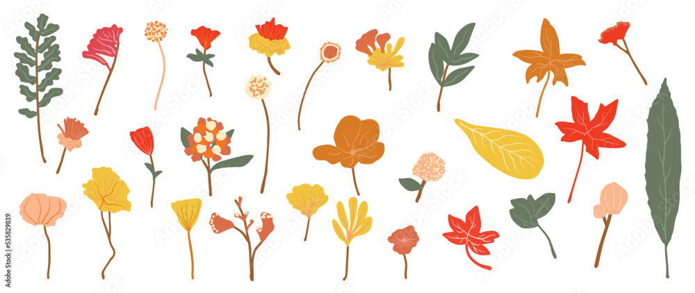 Collection of autumn botanical element vector. Set of floral, wild ...