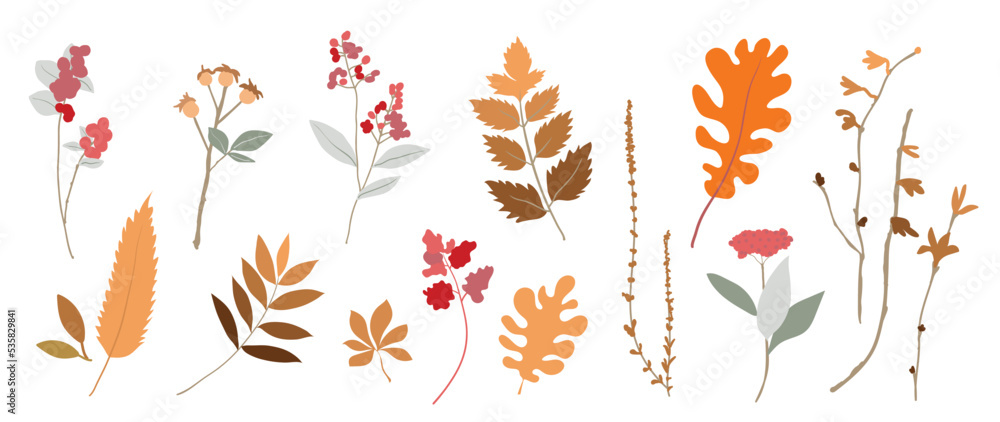 Collection of autumn botanical element vector. Set of floral, wild ...