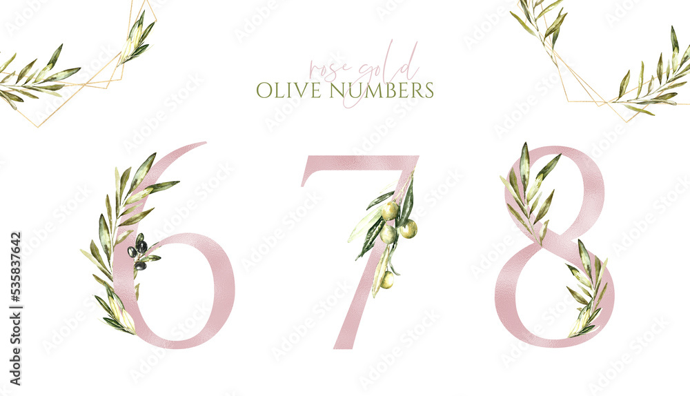 Watercolor olive numbers 6,7,8 illustration. Greenery leaves,branch ...