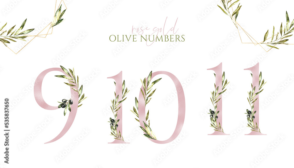 Watercolor olive numbers 9,10,11 illustration. Greenery leaves,branch ...