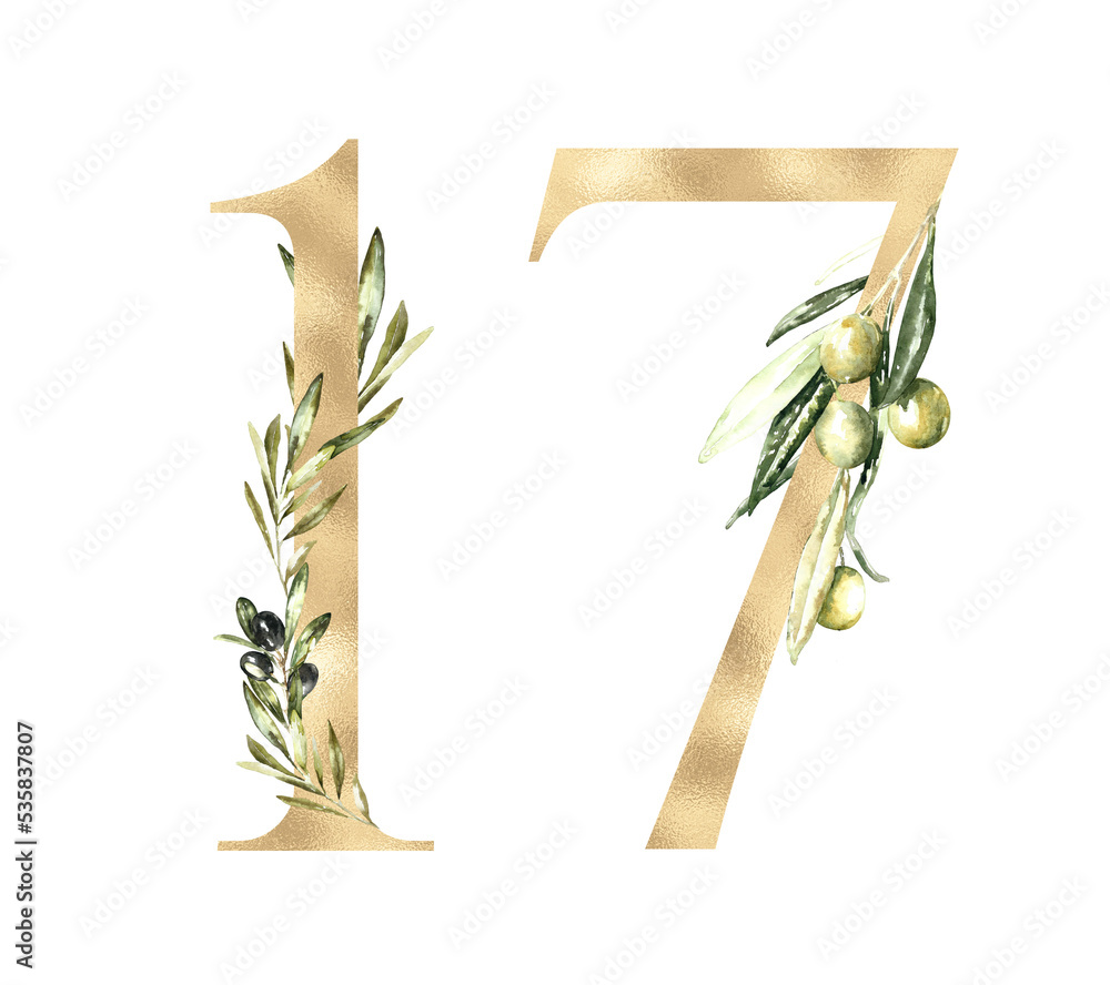 Watercolor number 17 illustration. Greenery olive leaves,branch, gold ...