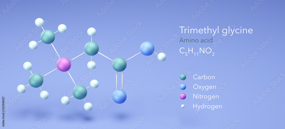 trimethylglycine, molecular structures, Amino acid, 3d model ...