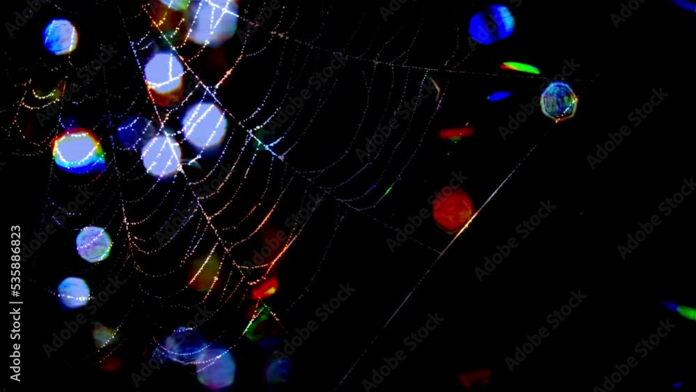 Vidéo Stock Glittering spider web against colorful iridescent flecks ...