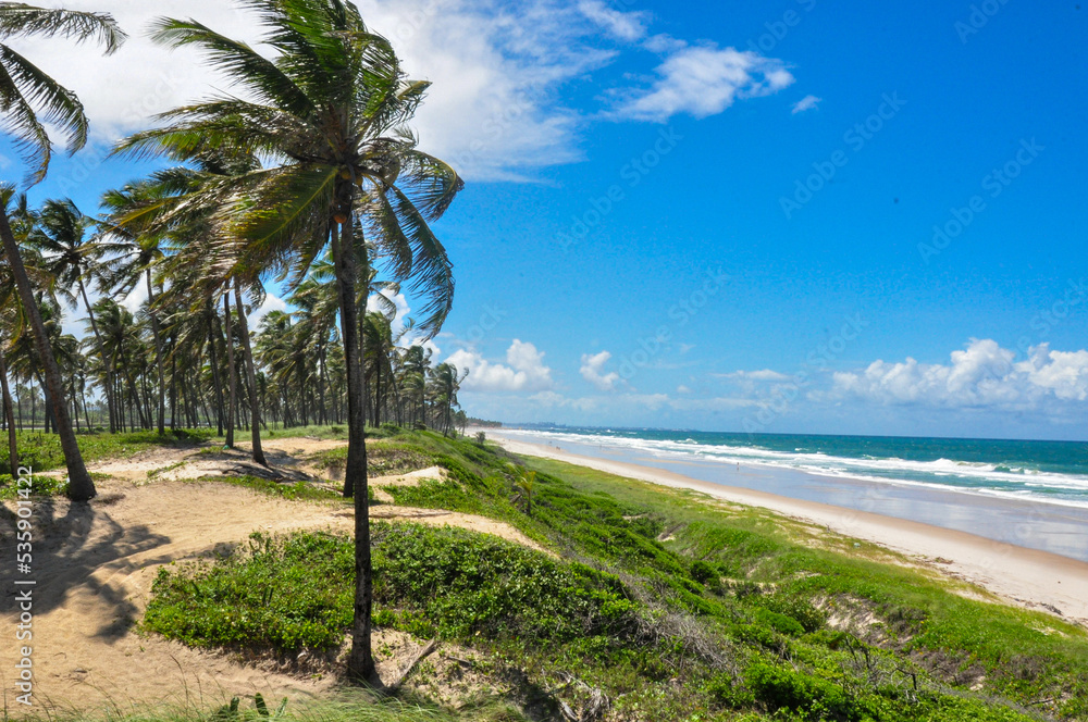 Praia brasileira com mar azul e grandes árvores para passar as férias ...