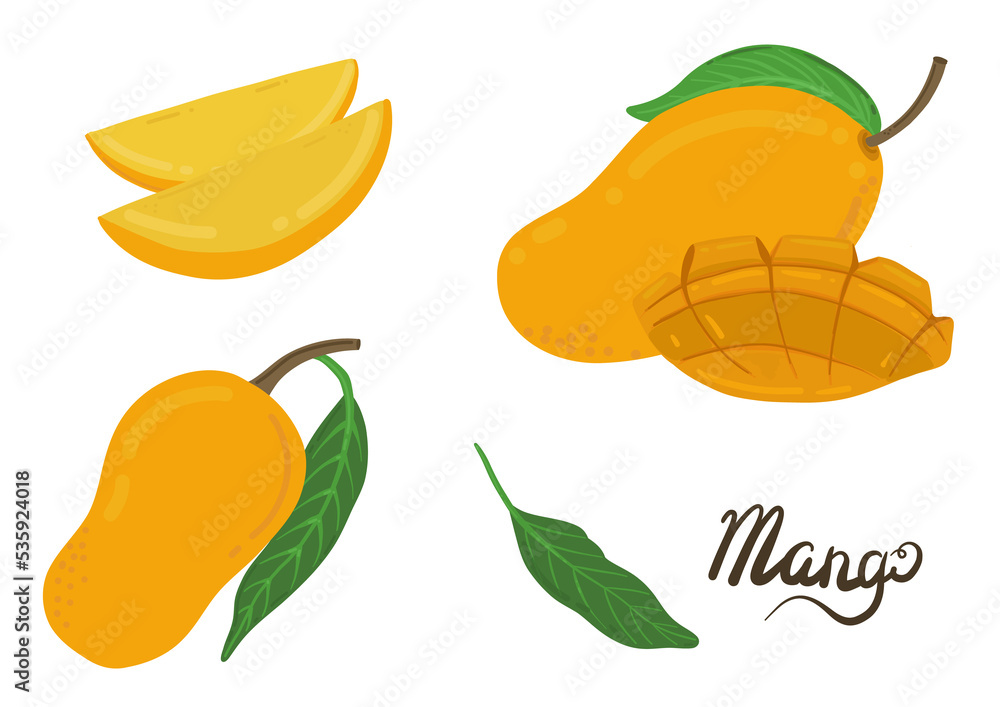 Set of fresh whole, half, cut slice mango fruits isolated on white ...