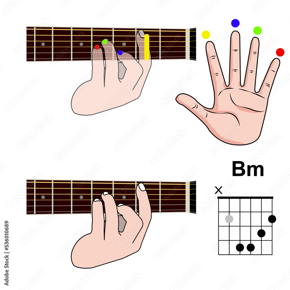 Guitar Chord Basic and Hand Position for Guitar Chord vector. Freestyle ...