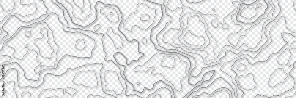 Topographic map transparent background. Grid map. Pattern of contour ...