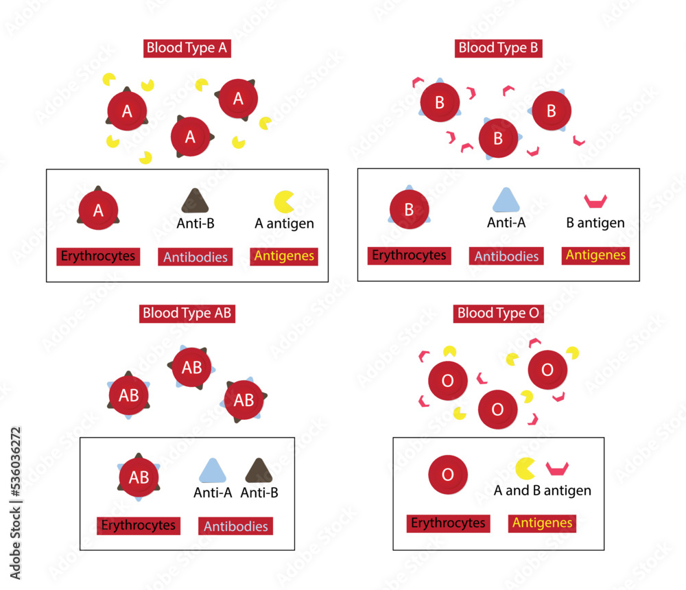 Plakát illustration of biology and chemistry, Blood transfusion is the ...