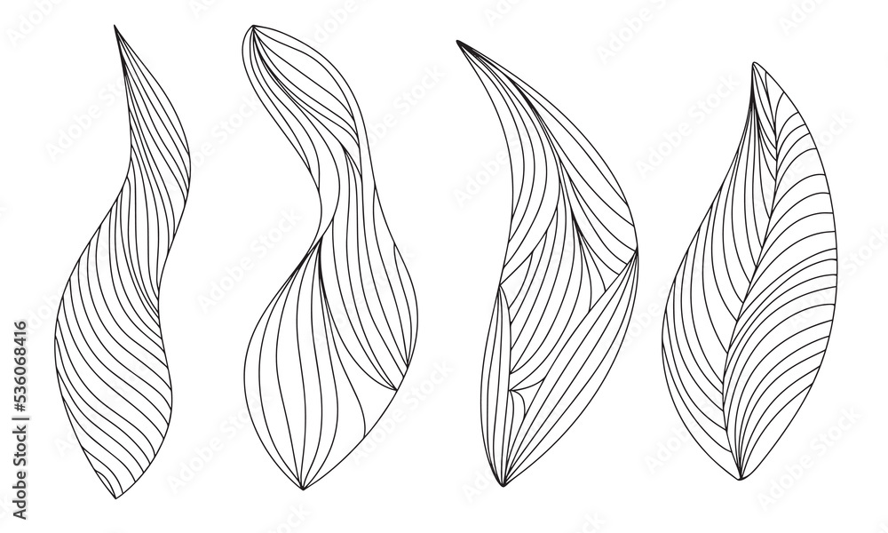 Hand draw abstract leaves line art outline style. Vector illustration ...