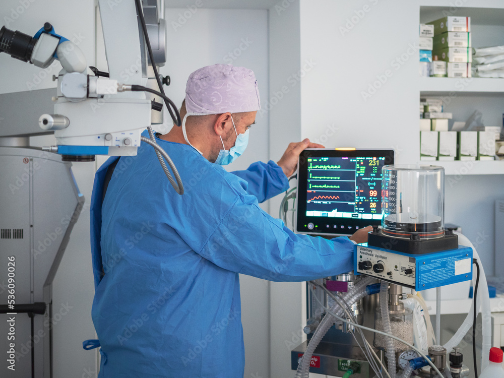 Anesthesiologist checking vital signs monitor Stock Photo | Adobe Stock