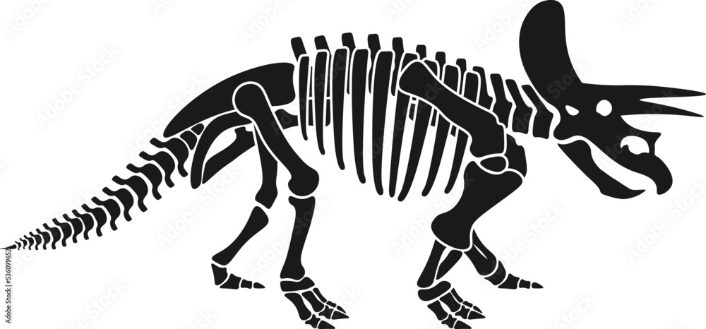 Styracosaurus Dinosaur skeleton Prehistoric Animal. Vector illustration ...