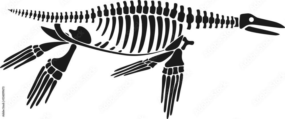 Plesiosaurus Dinosaur skeleton Prehistoric Animal. Vector illustration ...