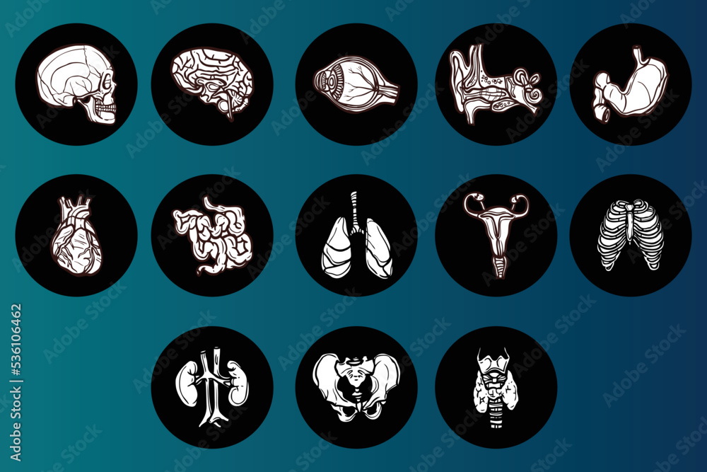 Human Anatomy, Human Body Parts Icons White On Black Flat Design Circle ...