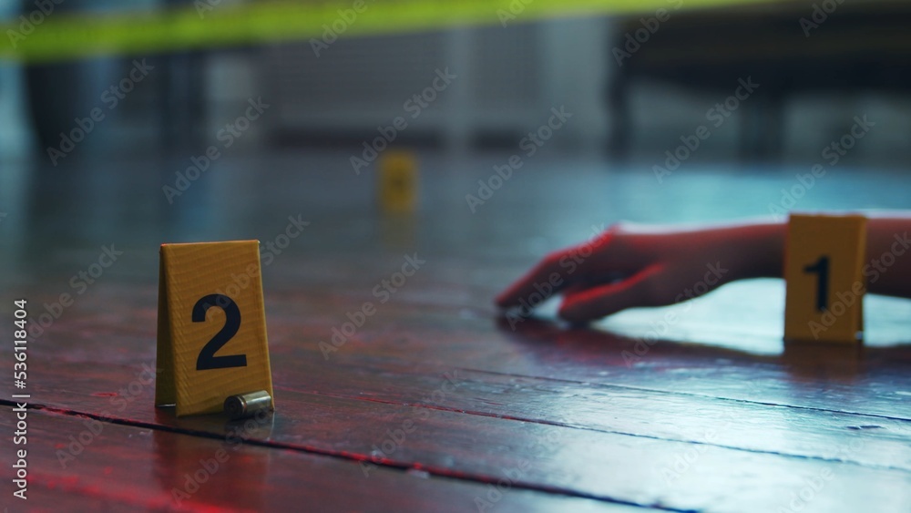 Closeup of a Crime Scene in a Deceased Person's Home. Dead man, Police ...