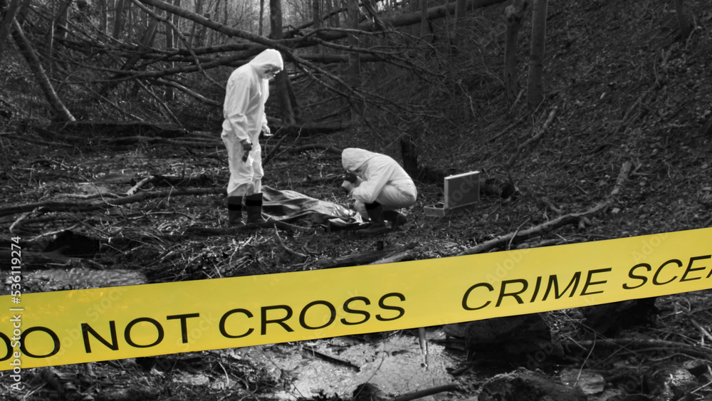 Detectives are collecting evidence in a crime scene. Forensic ...