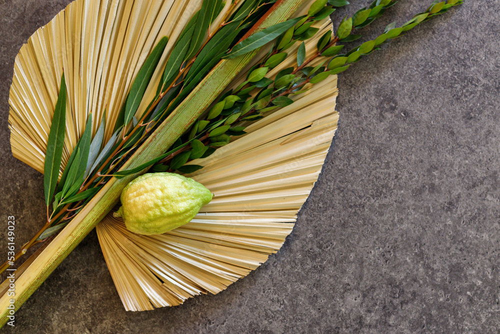 Jewish holiday of Sukkot. Traditional symbols (The four species): Etrog ...
