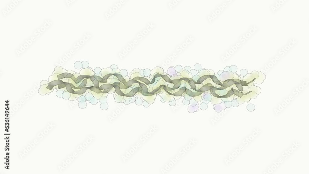 Scientifically accurate 3D model of a collagen triple helix molecule ...