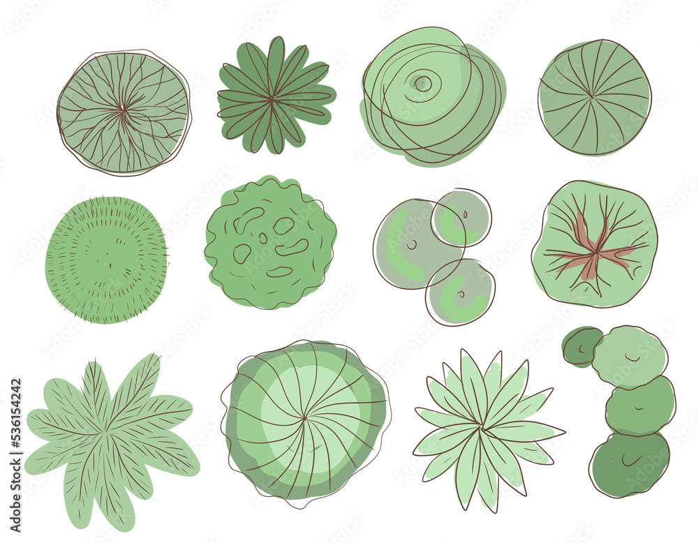 Plan landscape bushes trees top view of the trees graphics color hand ...