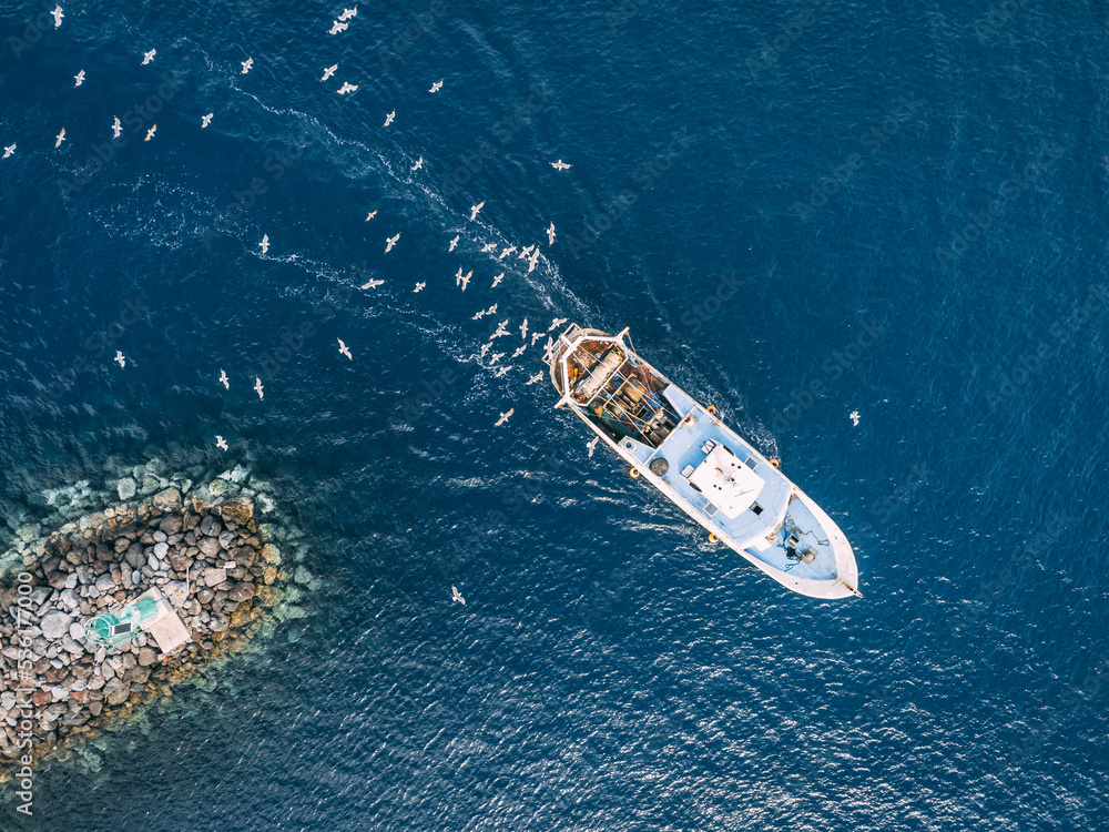 Top view of a fishing trawler coming back to the port and the seagulls ...