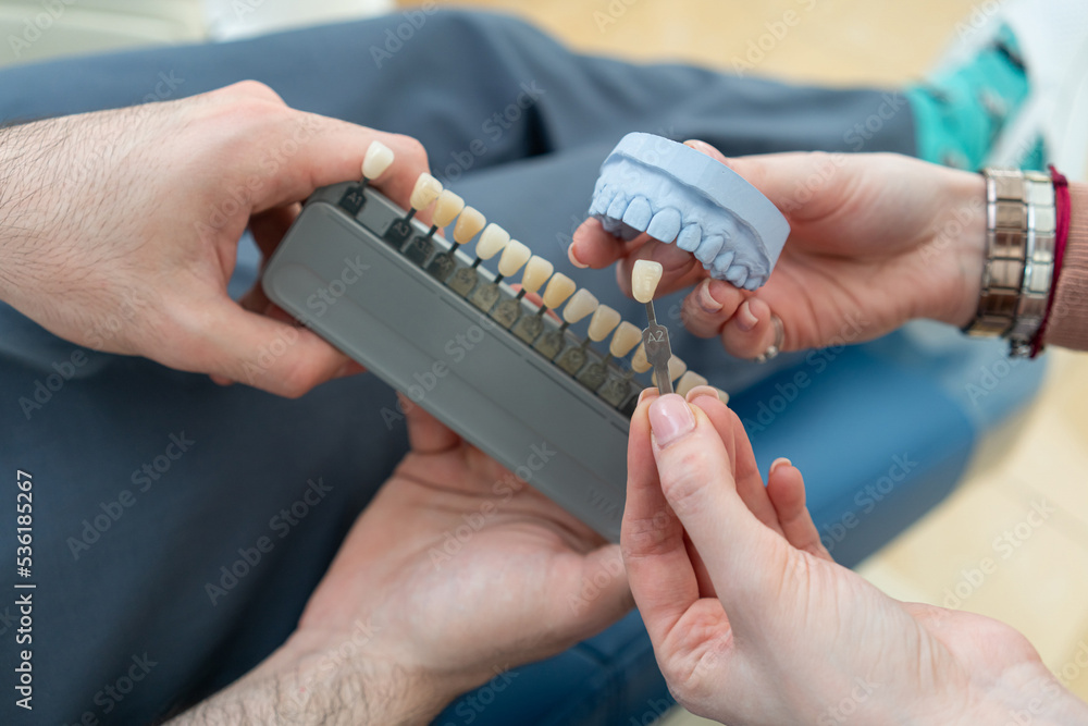 selection of the color of the denture on the template in dentistry ...