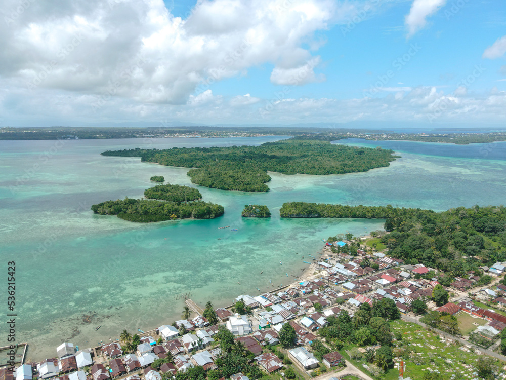 Aerial view of village near beautiful beach with small island in the ...