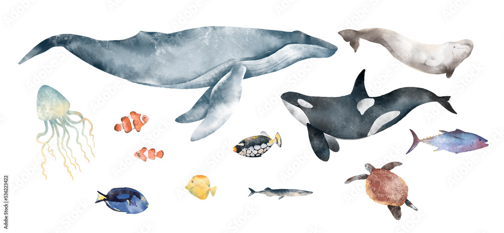 Watercolor hand drawn sea set. Colorful illustration of ocean mammals ...