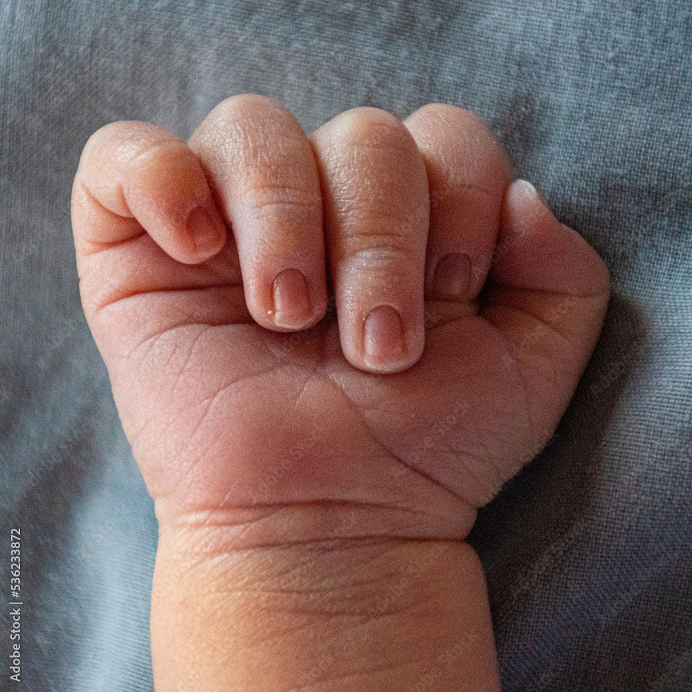 mano de un bebe recién nacido Stock Photo | Adobe Stock