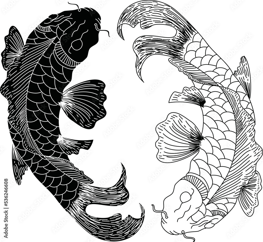 Hand drawn line art of fish (Koi carp). Vector isolated. Idea for ...