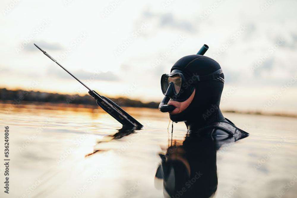 Diver hunting for fish using a speargun Stock Photo | Adobe Stock