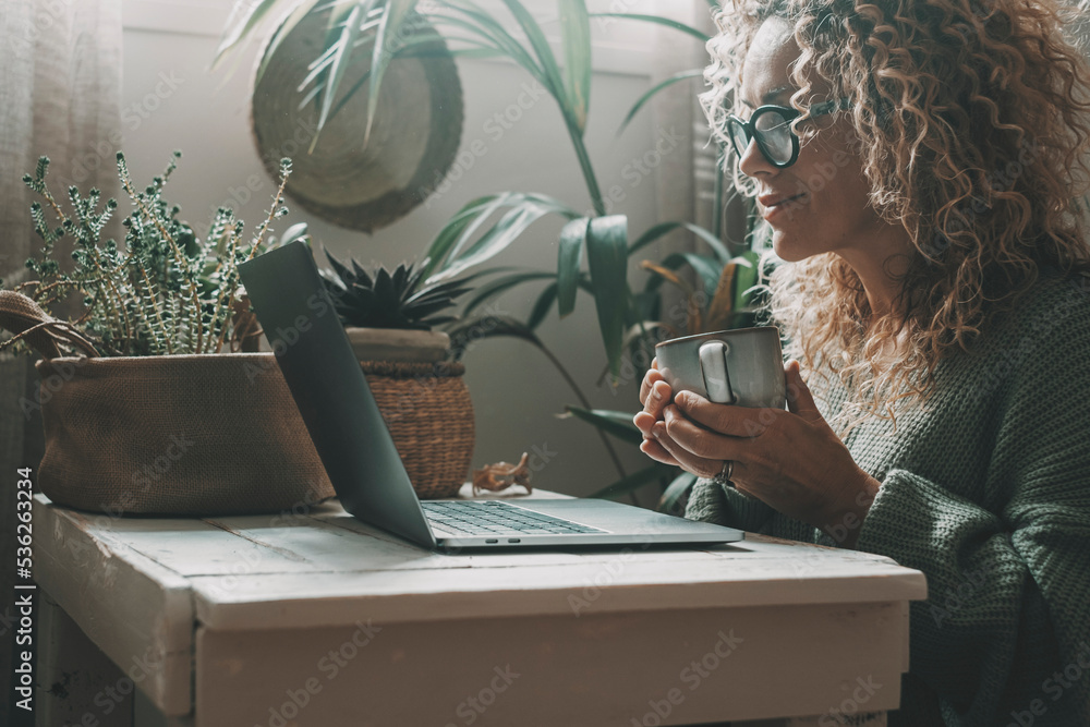 One lady using laptop at home drinking tea or coffee in indoor leisure ...