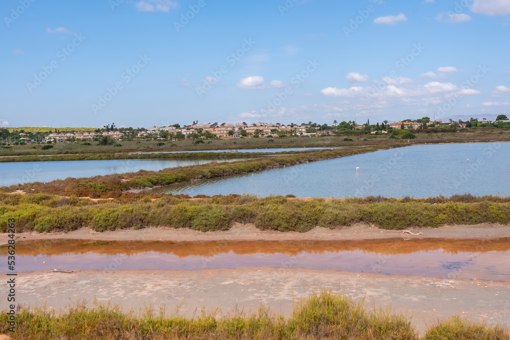 Observatory of the Salinas de Santa Pola, salt ponds where the ...