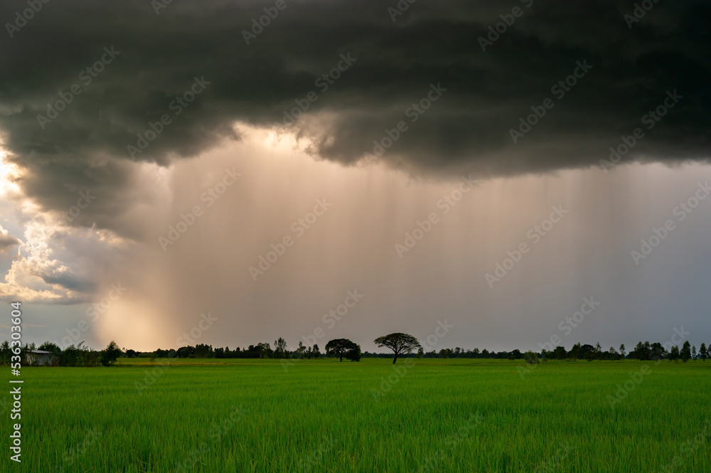 Panorama Super storm with sun light , Dark sky and dramatic black cloud ...