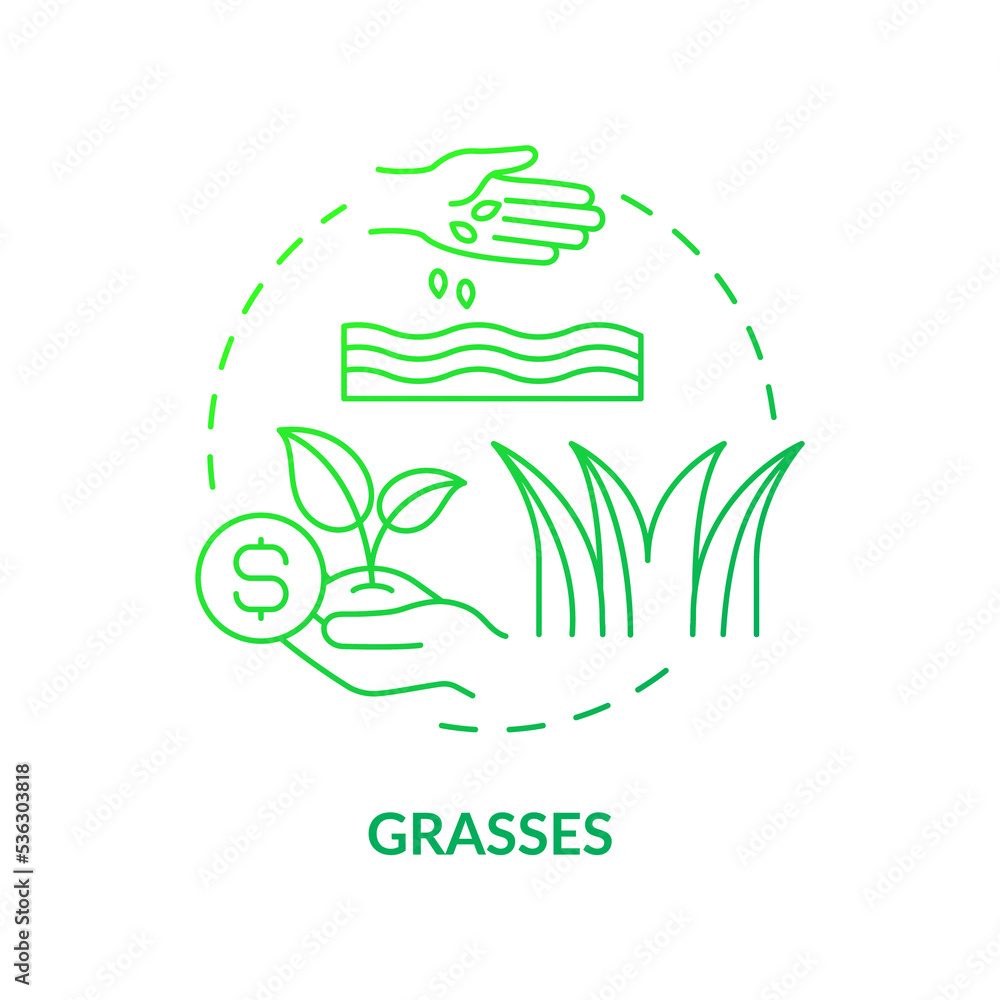 Grasses green gradient concept icon. Growing switchgrass abstract idea ...