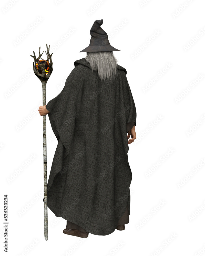 Wizard or sorcerer with long grey hair, grey cloak, pointed hat and ...