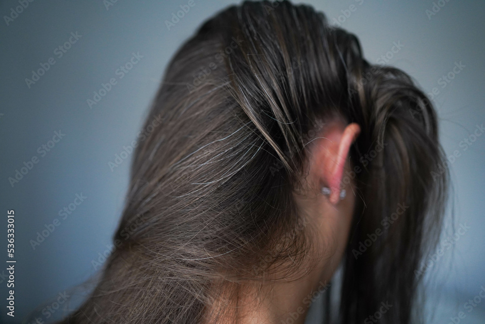 Gray hairs on the head of a young girl. Long gray hair. The initial ...