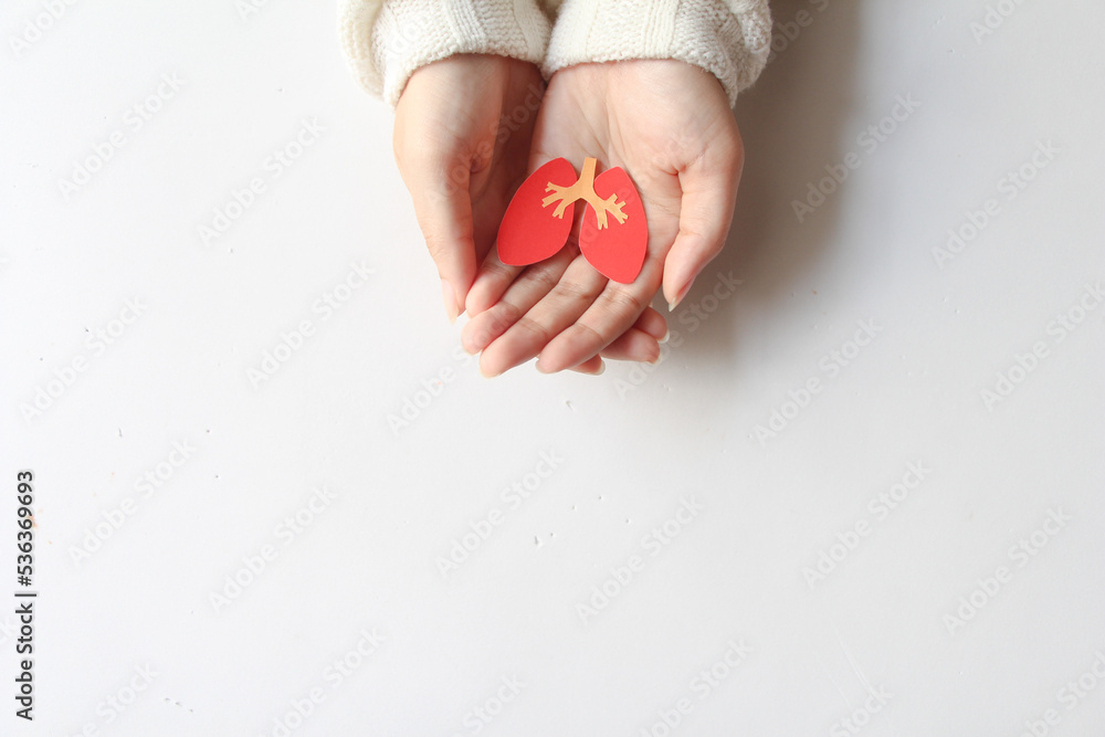 hand holding lung shape made from paper on white background with copy ...
