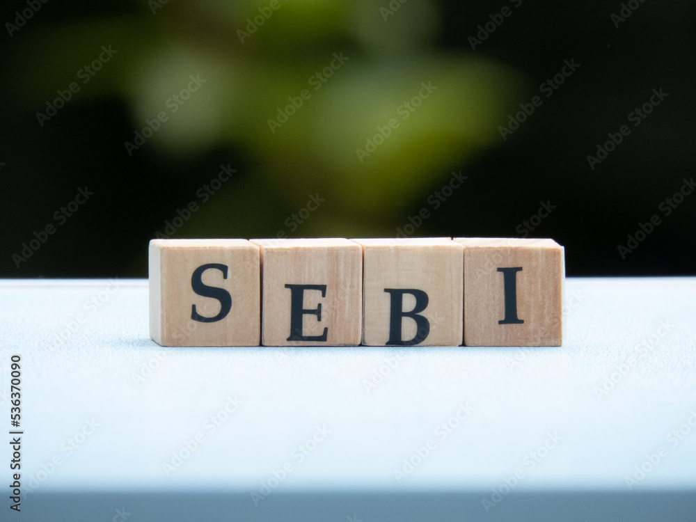 Sebi words by letter made of wooden beads or blocks placed horizontally ...
