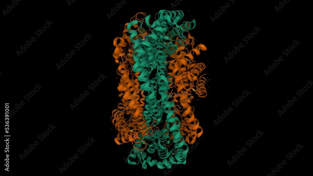 Crystal structure of c-phycocyanin of Synechococcus vulcanus. Animated ...