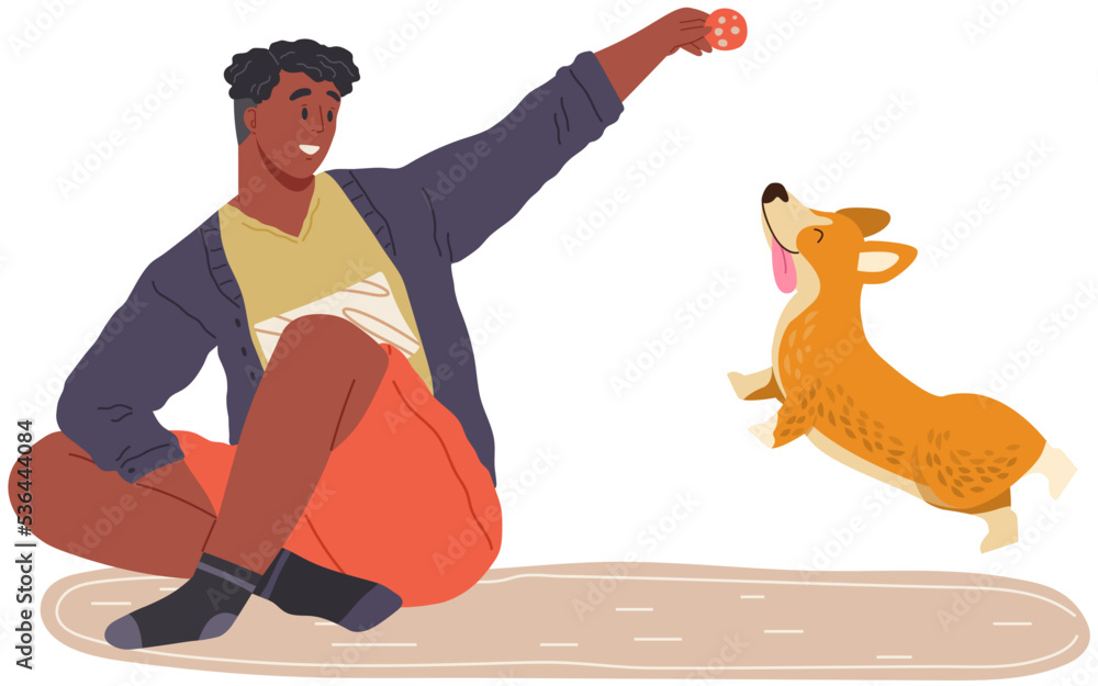 Male pet owner with dog training, playing with ball. Caring for four ...