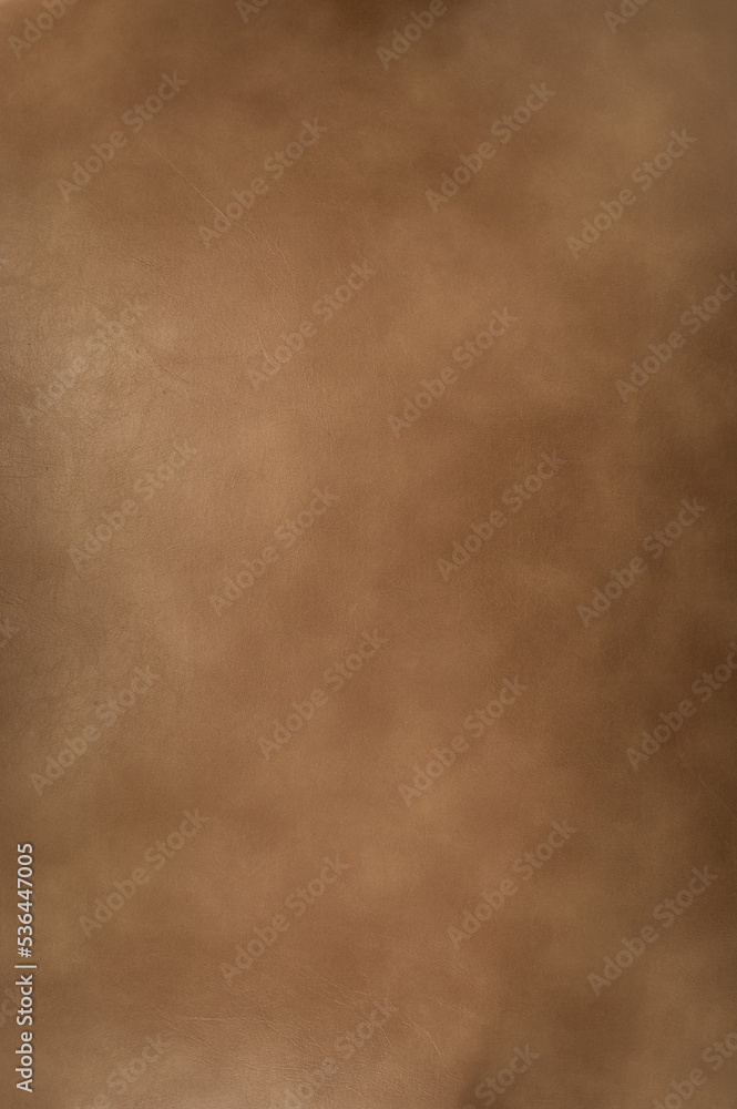 Painted studio background, portrait backdrop, dark brown texture Stock ...