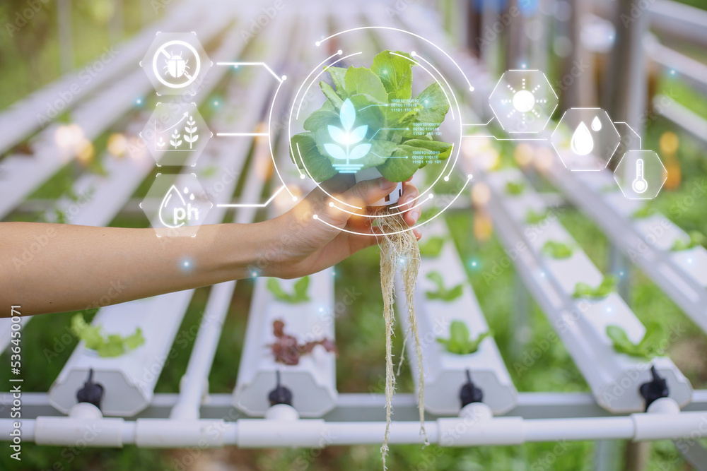 Innovation technology, Agriculture management, Technology concept in ...